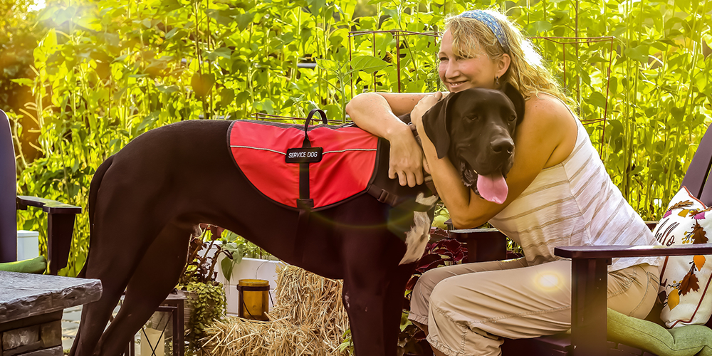 Hearing service dogs
